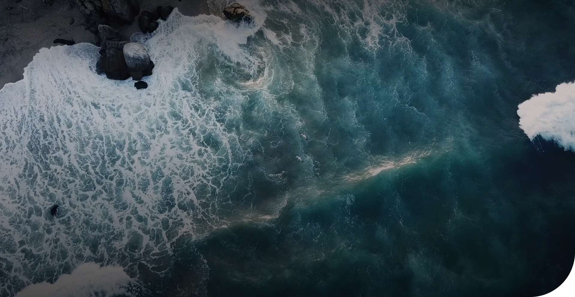 Nuestro equipo - Dive