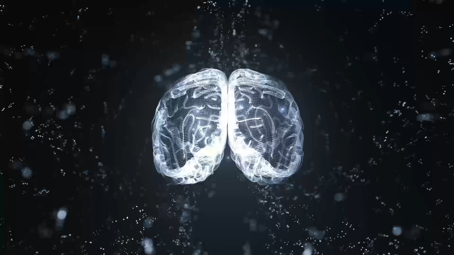 Caso de éxito de Anotación con IA para Rebold - ISPD | Dive